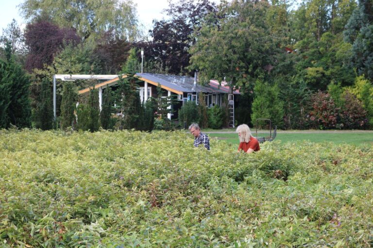 DGC | Supplier in the spotlight Andromeda