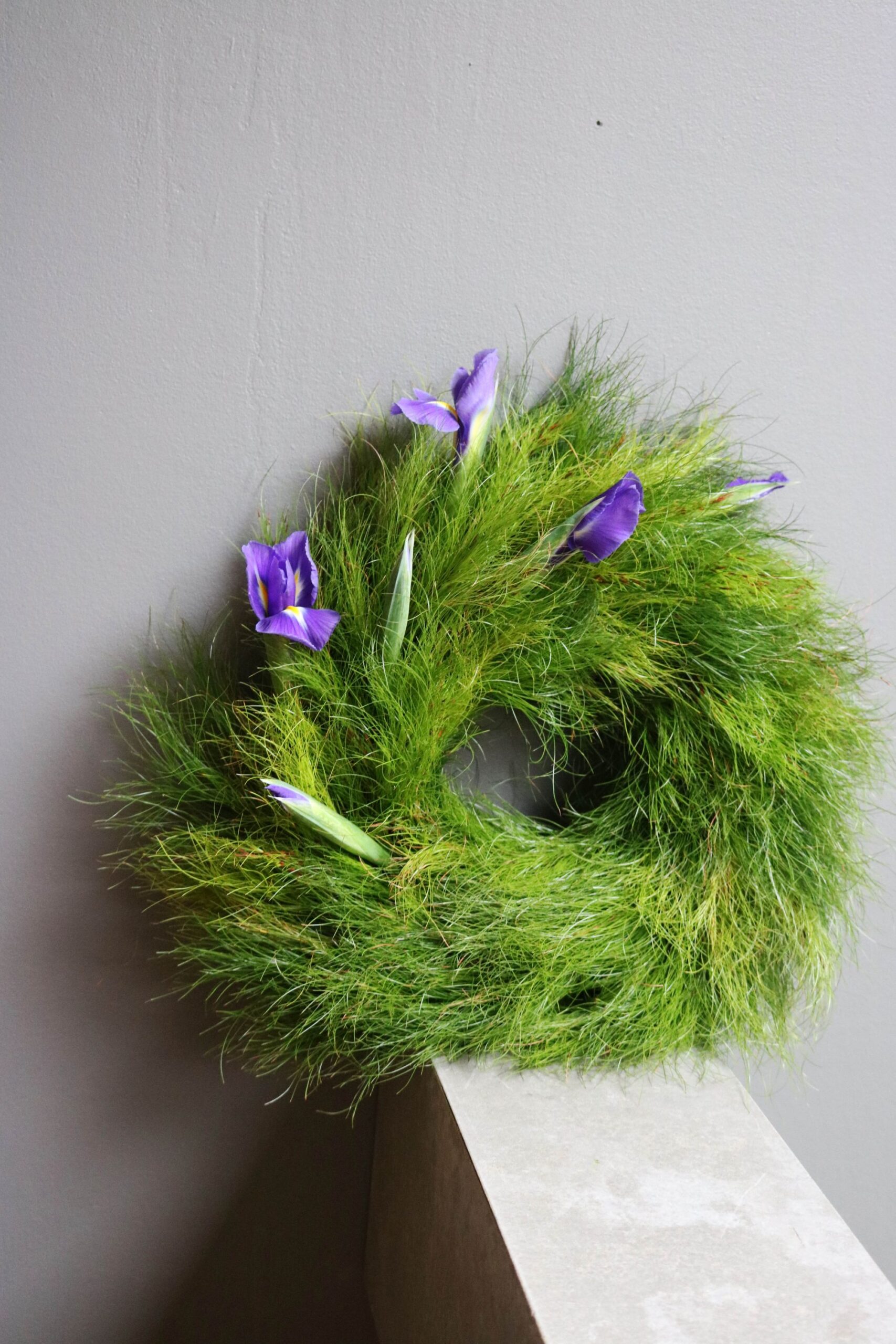 DGC | Get started with the striking Iris